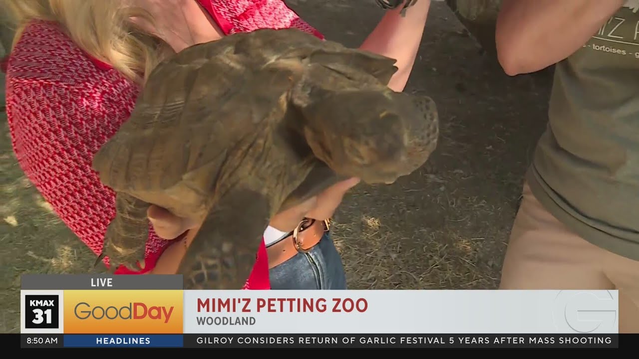 Mimi'z Petting Zoo, 8am - YouTube