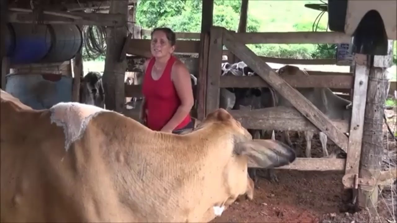 Mulher Tirando Leite Youtube