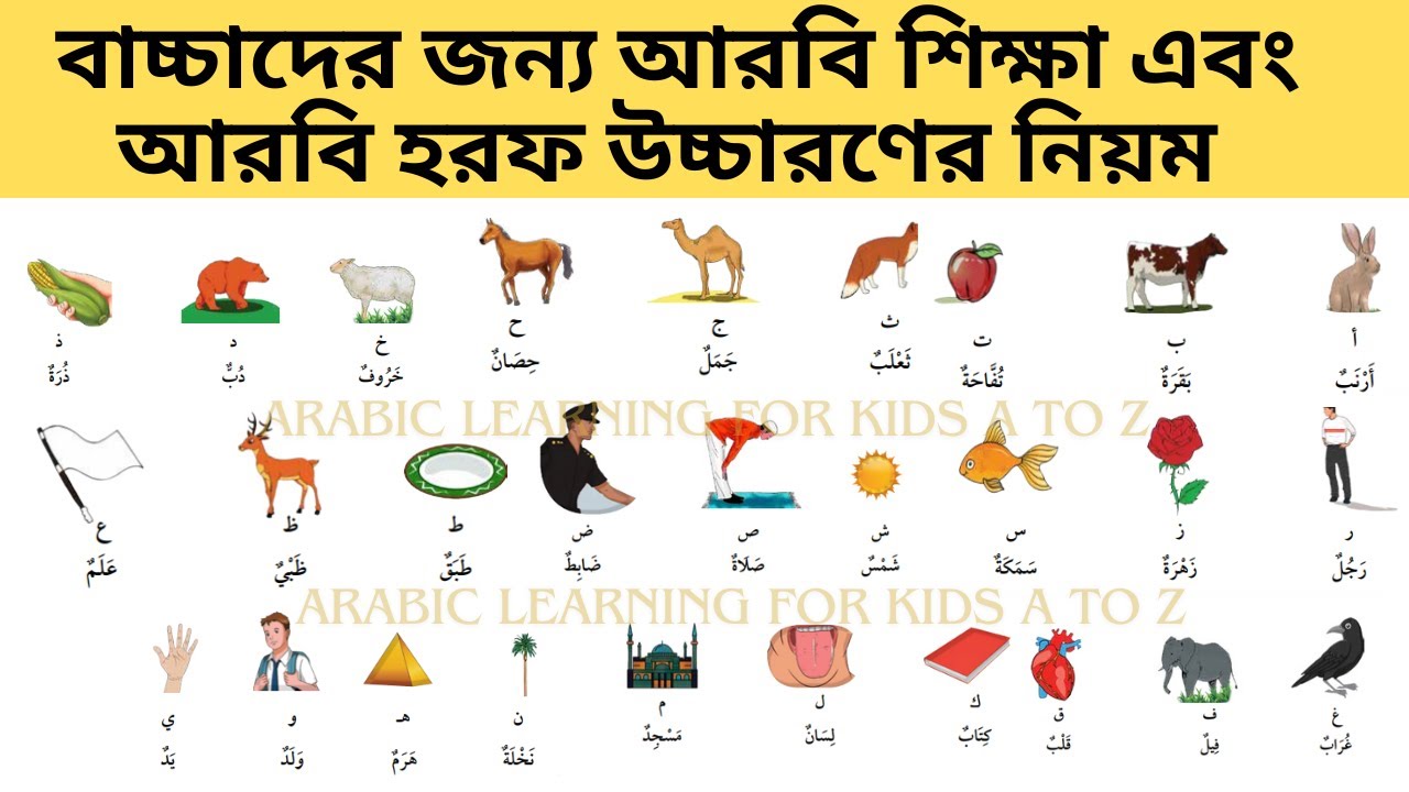 বাচ্চাদের জন্য আরবি শিক্ষা, Arabic alphabet, Arabic learning for kids A ...