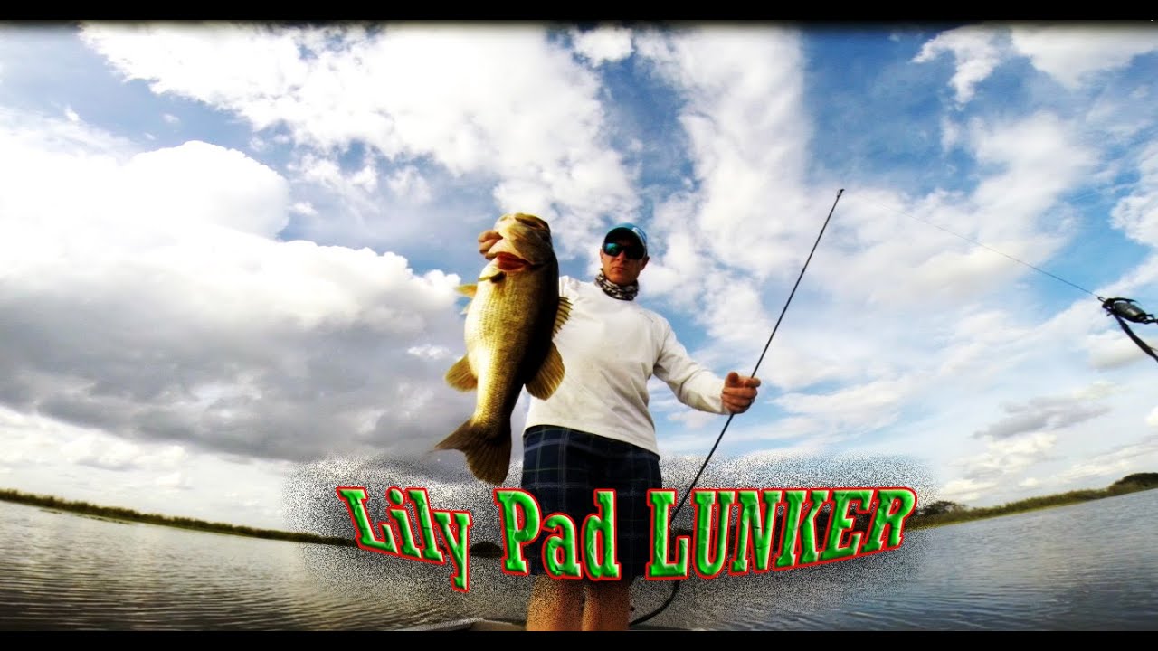 GIANT Bass Flipping Pads - YouTube