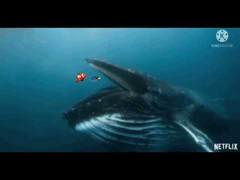 Finding Nemo Dory Speaks Whale Live Action Remake - YouTube