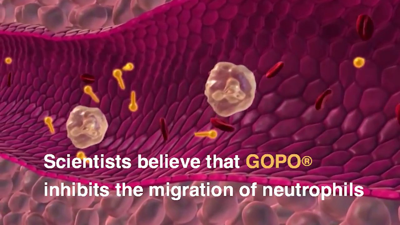 Rose-Hip Vital with GOPO® - what is GOPO®? - YouTube