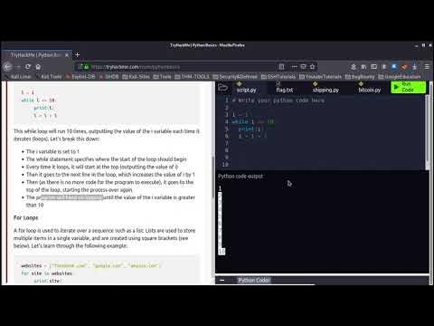 THM-Task7 Python Basics - Loops - YouTube