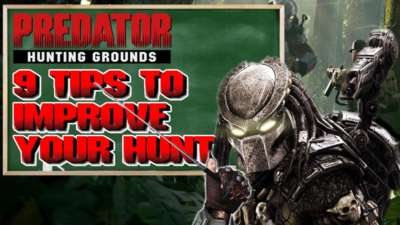 9 Tips and Tricks to Help Start Your Trophy Collection as the Predator ...
