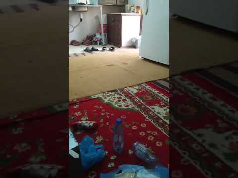 Di kamar sendirian, tki Arab