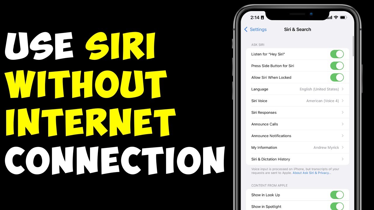 How to Use Siri Without Internet Connection! iOS 17 (UPDATED) - YouTube