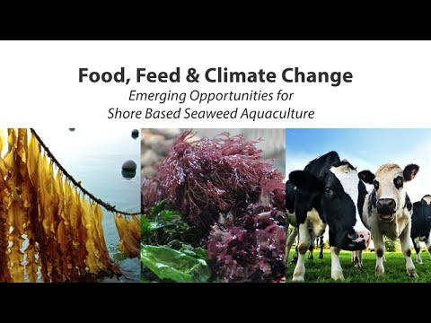 Food, Feed, and Climate Change – Emerging Opportunities for Shore Based ...
