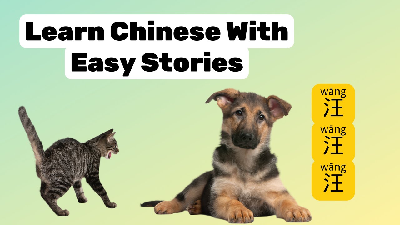 Dog After Cat, Learn Basic Chinese Vocab with Stories - YouTube