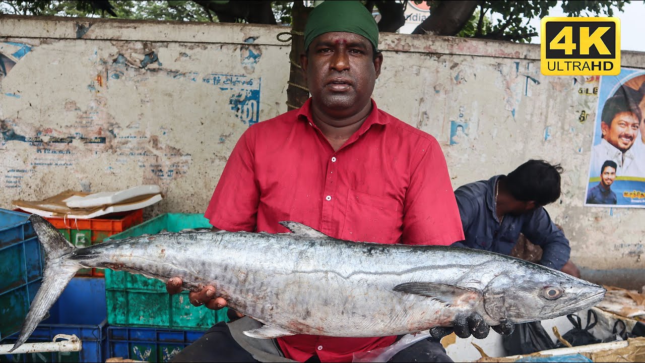 BIG VANJARAM FISH/SEER FISH SUPER SLICE CUTTING IN KASIMEDU FISH MARKET ...