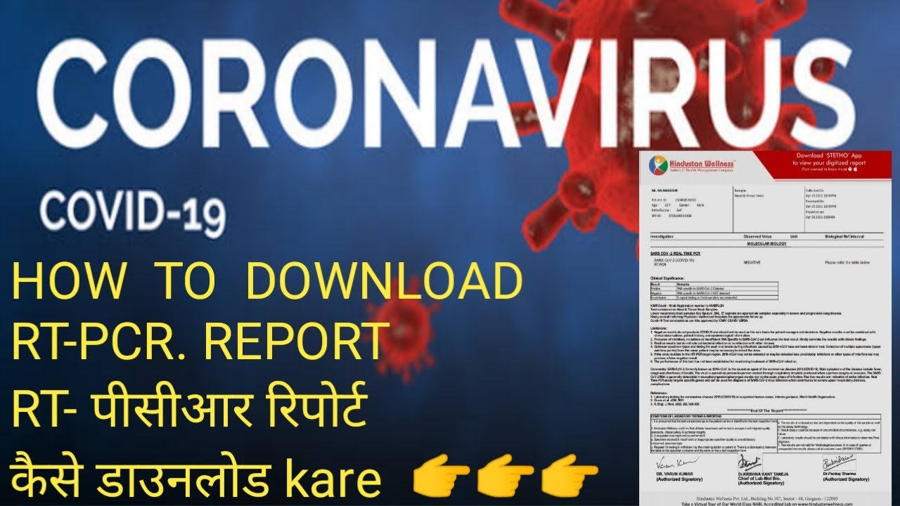 how to download RT-PCR report ll RT-PCR रिपोर्ट कैसे डाउनलोड करे ll ...