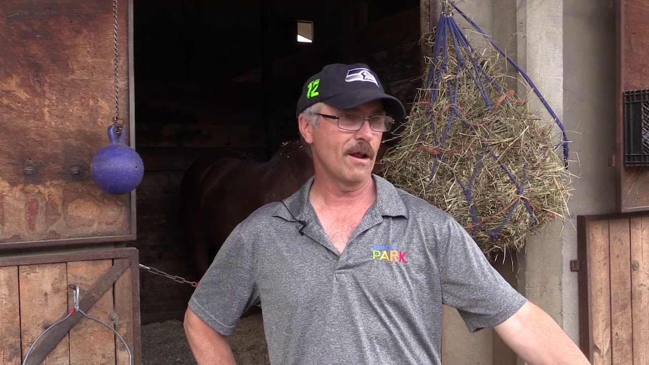Getting the horses out of the gate - YouTube