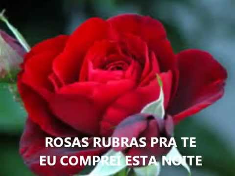 ROSAS RUBRAS JERRY ADRIANI