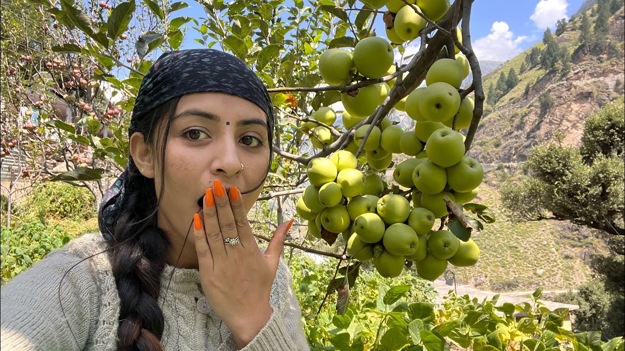 Apple hai ya Grapes ka gucchha 😲 || Fruits Orchard in Kinnaur, Himachal ...