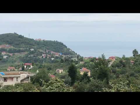 Trabzon Harmanlı (Varvara) Köyü (Arsin)