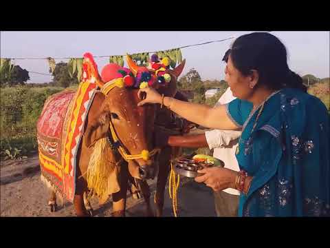 Bail pola 2018 | बैल पोळा | Bullock festival maharashtra - YouTube