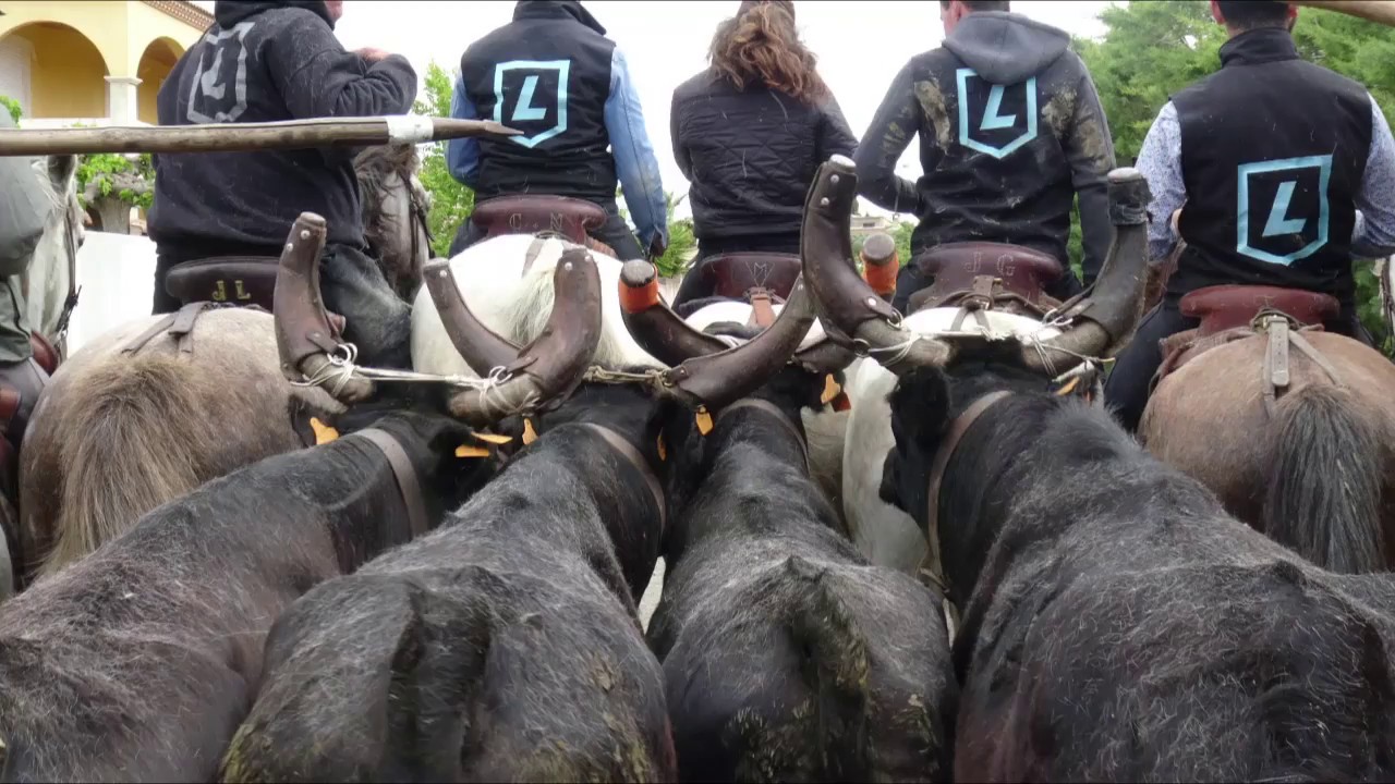 FESTIVAL ABRIVADE BANDIDE GALLARGUES 01 05 2018 - YouTube