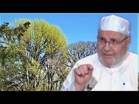 𝐈𝐧𝐜𝐫𝐞𝐚𝐬𝐞 𝐲𝐨𝐮𝐫 𝐑𝐢𝐳𝐪, By Sheikh Mohammed Ratib Al-Nabulsi - YouTube
