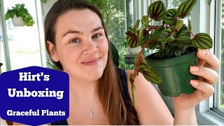 Hirt's Garden Unboxing | Spoiler Alert No Hitchhiker Animals Were Found This Time! | Graceful Plants