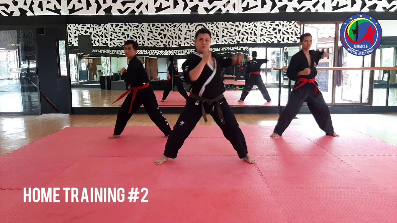 HAPKIDO HOME TRAINING #2 - YouTube