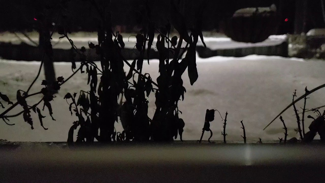 Alaska is Moving. Watch and leave your comments. BY ANN ABSHIRE - YouTube