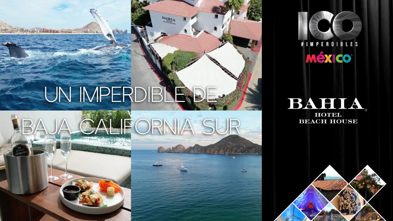 Bahia Hotel & Beach House, Los Cabos es un Imperdible de México en Baja ...