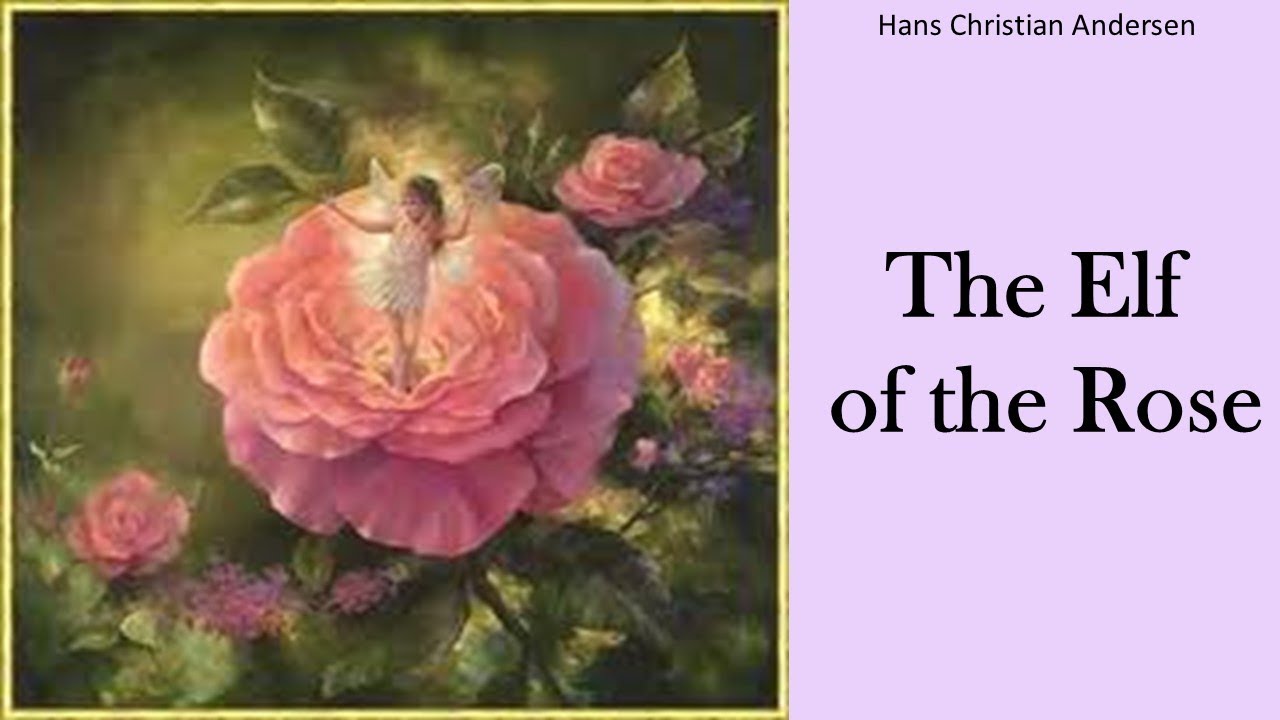 Learn English Through Story - The Elf of the Rose by Hans Christian ...