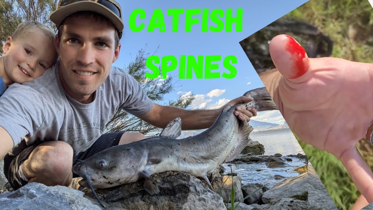 How to Hold a Catfish - YouTube
