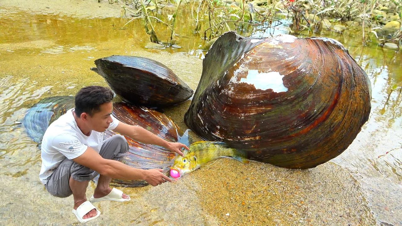 😲 Amazing miracle! Unexpectedly discovered a fish with precious pearls ...
