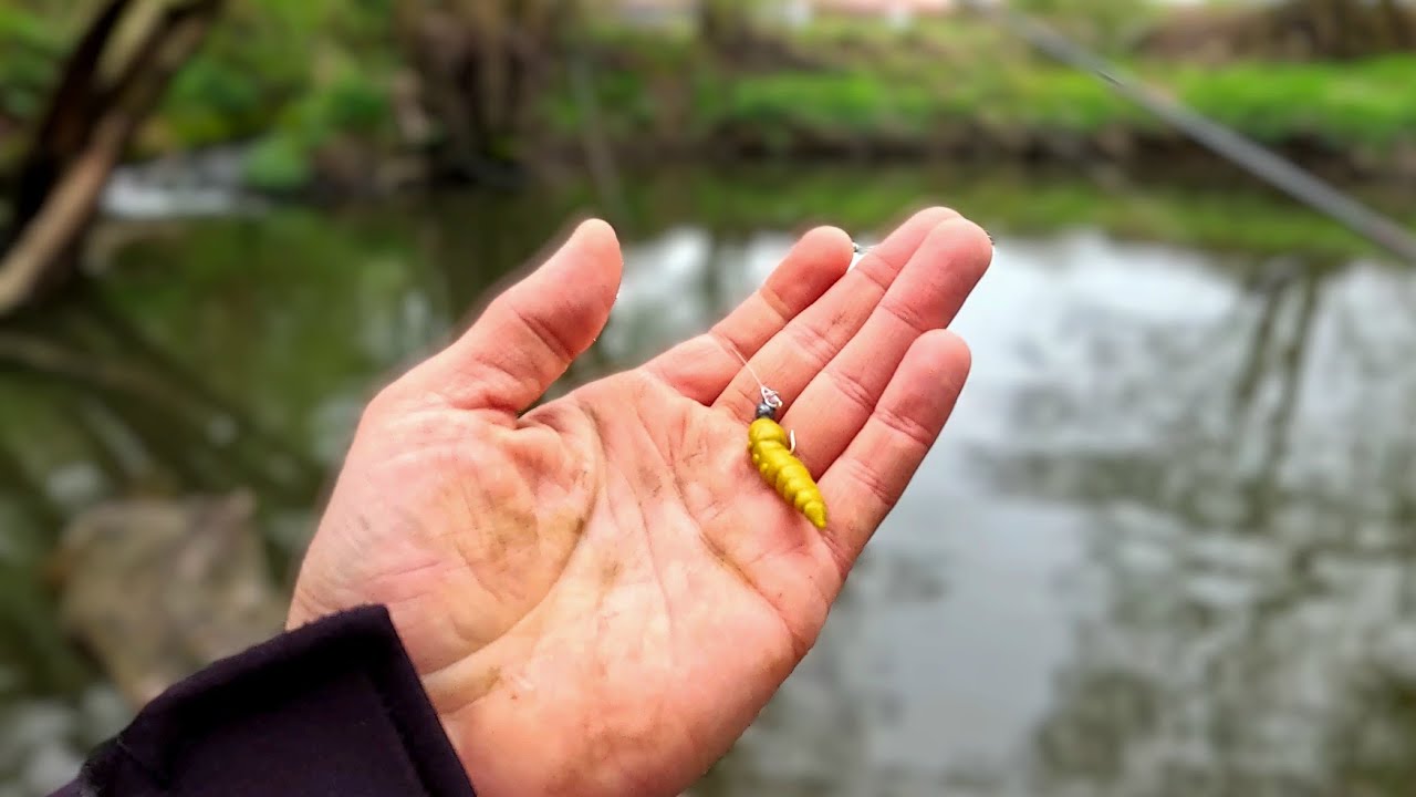 XUL and Micro Lures for Trout fishing - YouTube