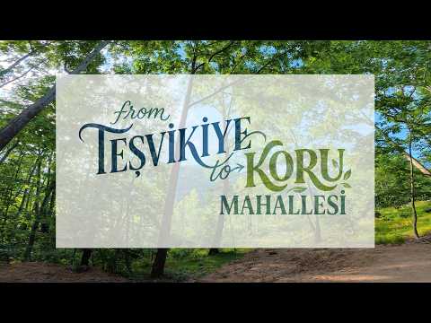 Yalova-Teşvikiye'den Çınarcık Koru Mah. Bisiklet Sürüşü  02.06.2026