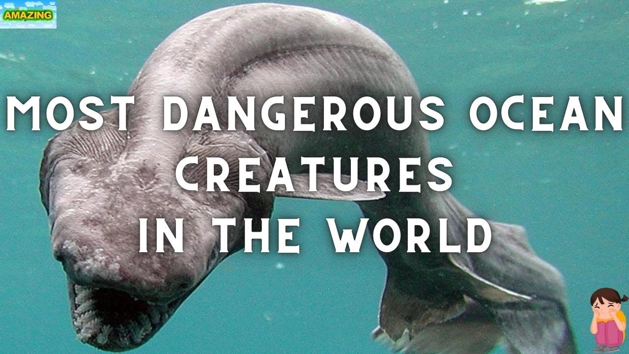 Most Dangerous Ocean Creatures In The World - YouTube