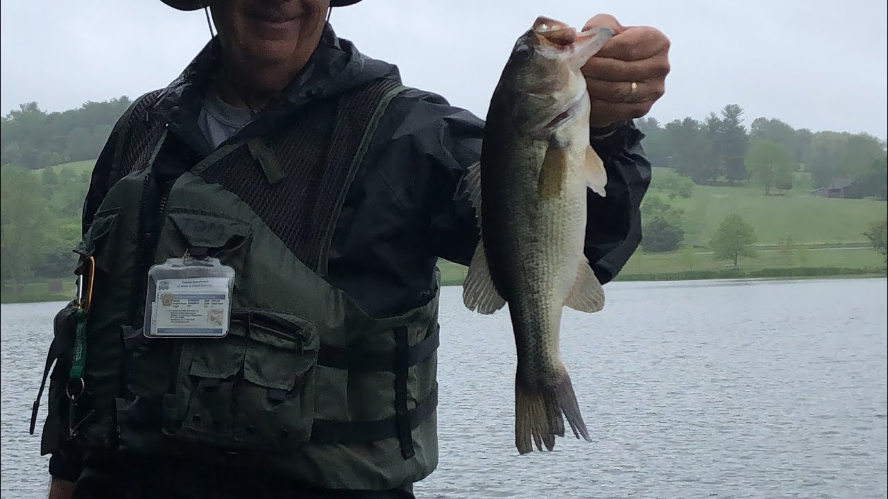 Catching BIG Bass In Lake Redman - YouTube