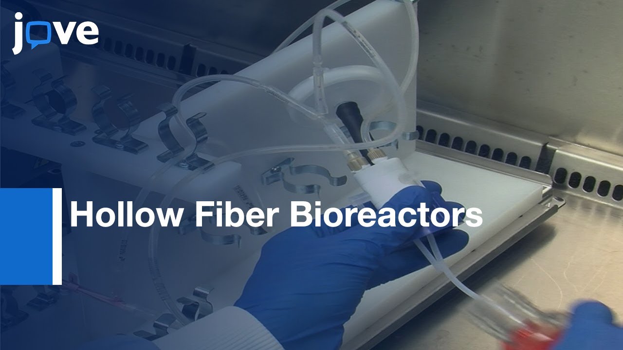 Hollow Fiber Bioreactors For In Vivo-Like Mammalian Tissue Culture l ...
