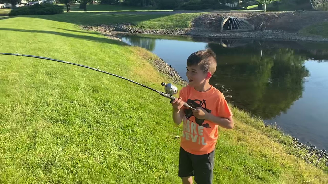 Bullfrog fishing! - YouTube