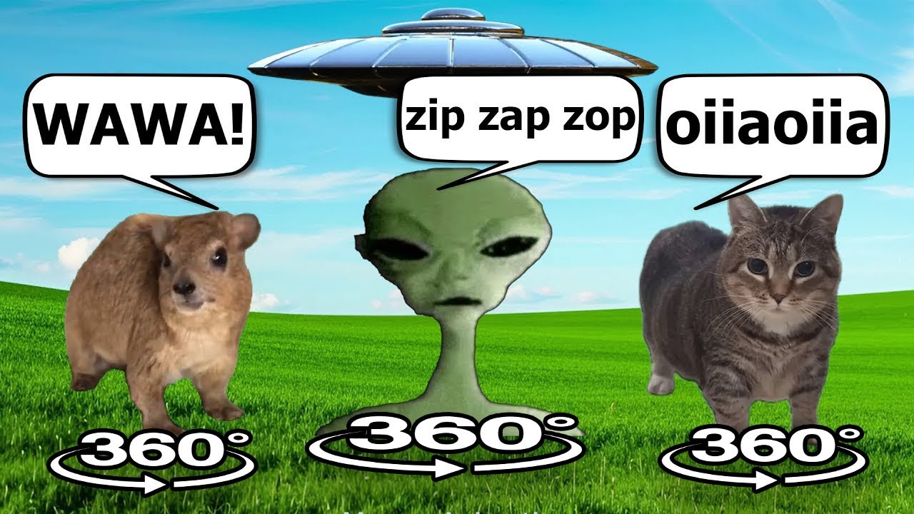 Hyrax and oiiaoiia spinning cat vs Alien Speaking Meme 360° - YouTube