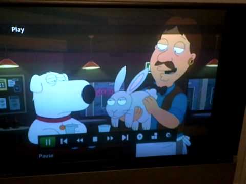 Asian rabbit family guy - YouTube