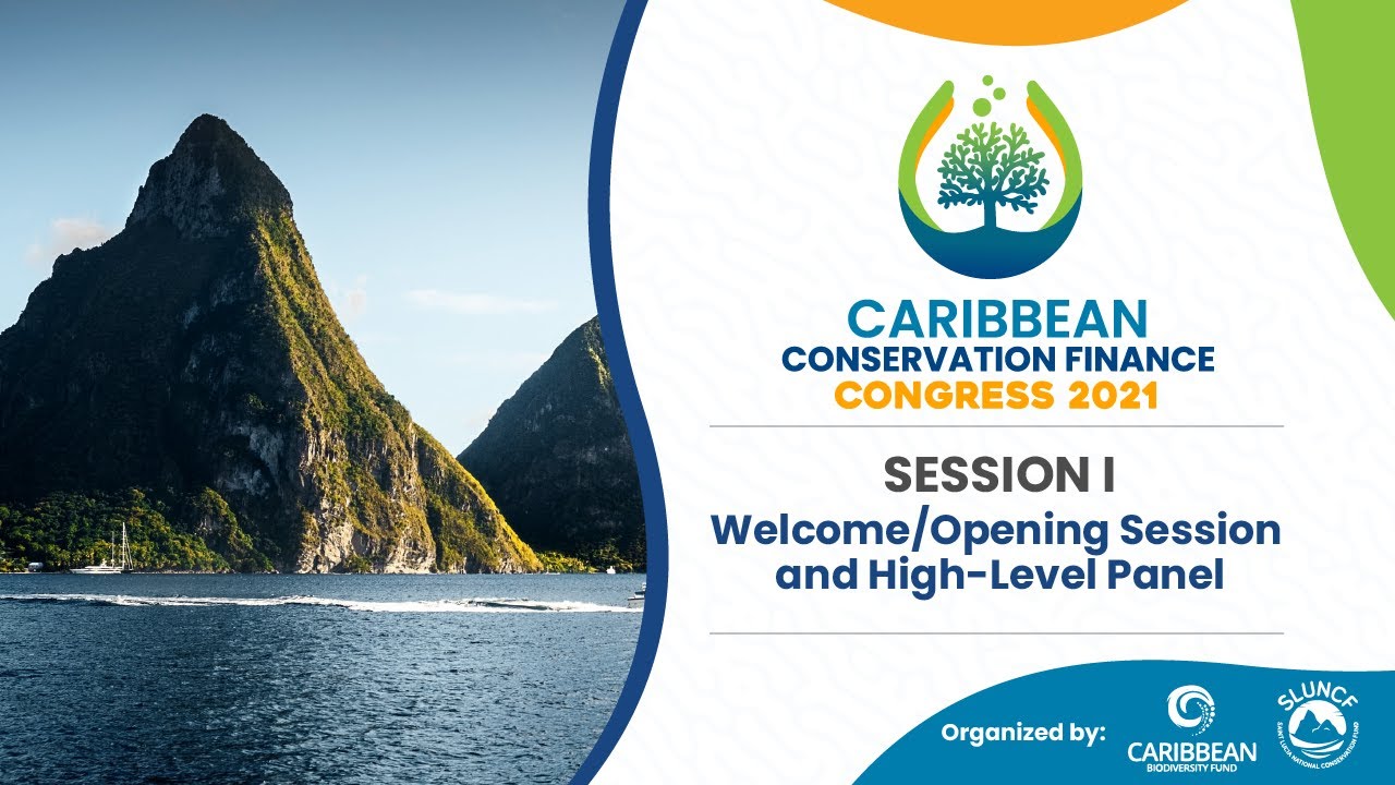 CCFC Session I: Welcome/Opening Session and High-Level Opening Panel ...