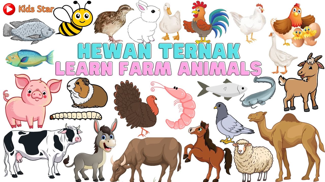 BELAJAR TEBAK NAMA HEWAN TERNAK | LEARNING FARM ANIMALS NAME | MENGENAL ...