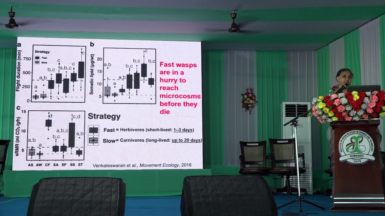 Scientific talk by Prof. Renee M Borges: part 4 - YouTube
