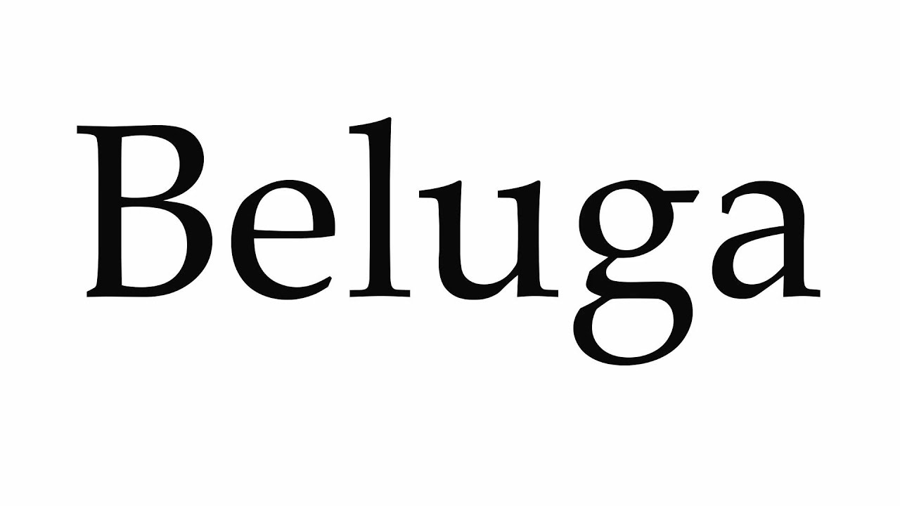 How to Pronounce Beluga - YouTube