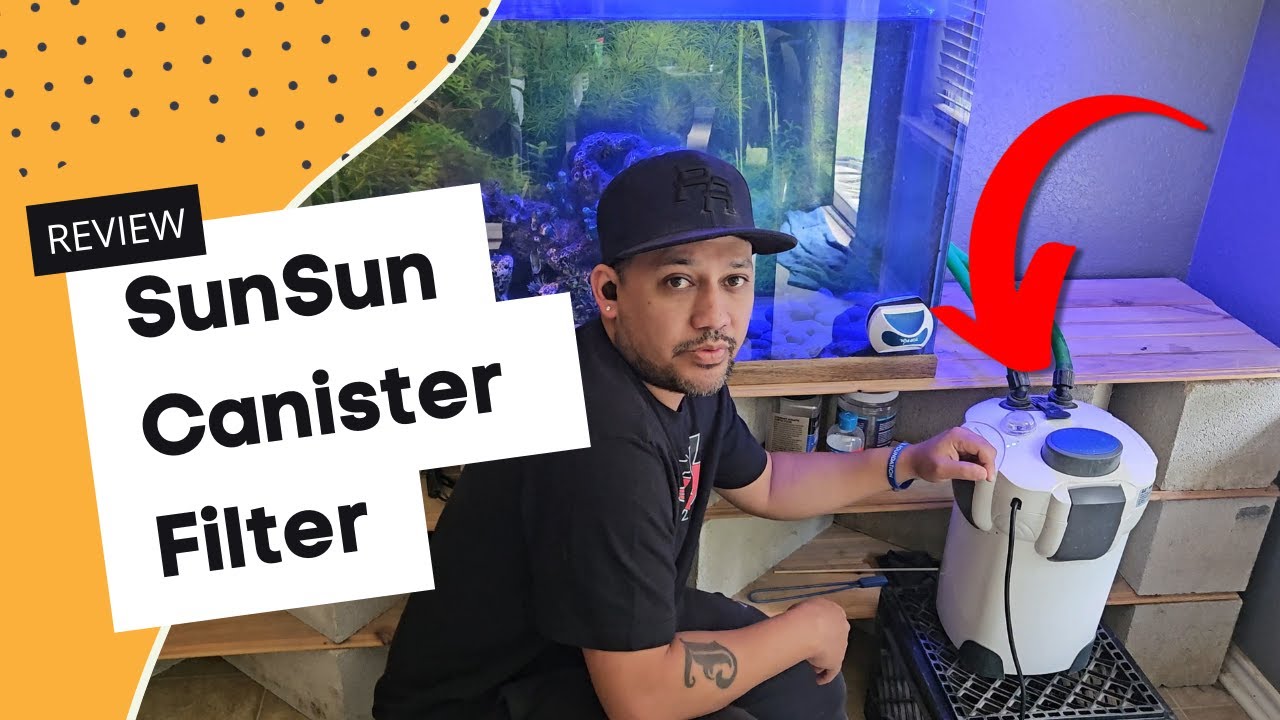 SunSun Hw303B 370GPH Pro Canister Filter Kit Review - YouTube