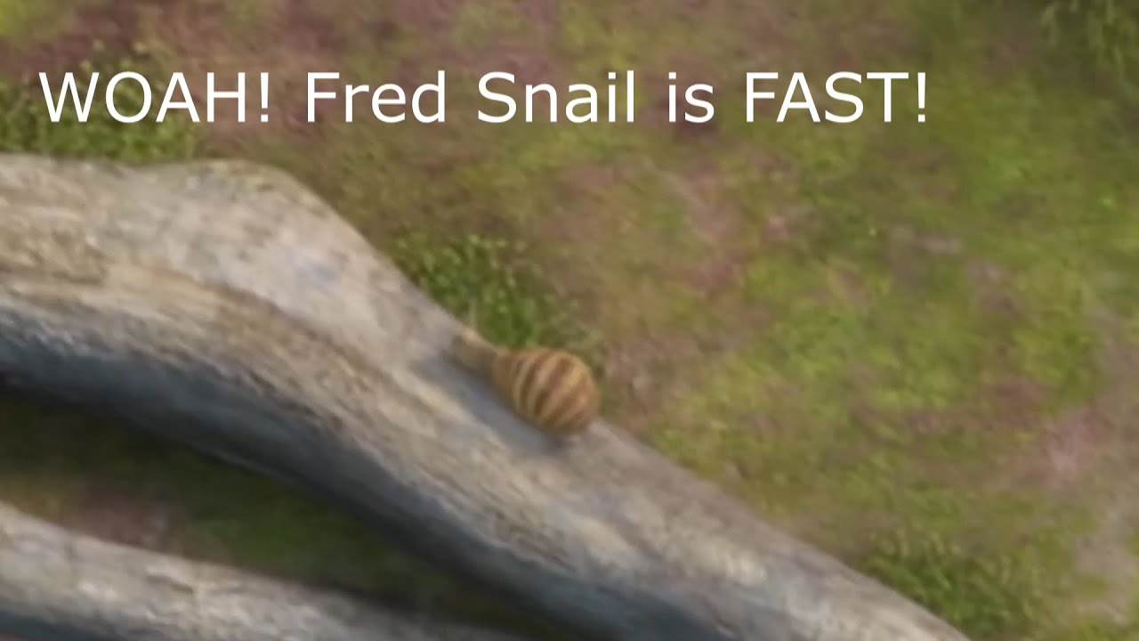 WOAH! Fred Snail is FAST! - YouTube