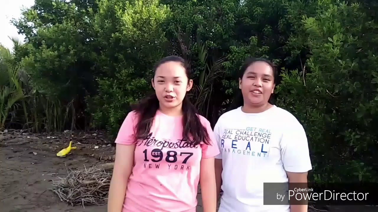 Boardwalk Tanjay (infomercial) - YouTube