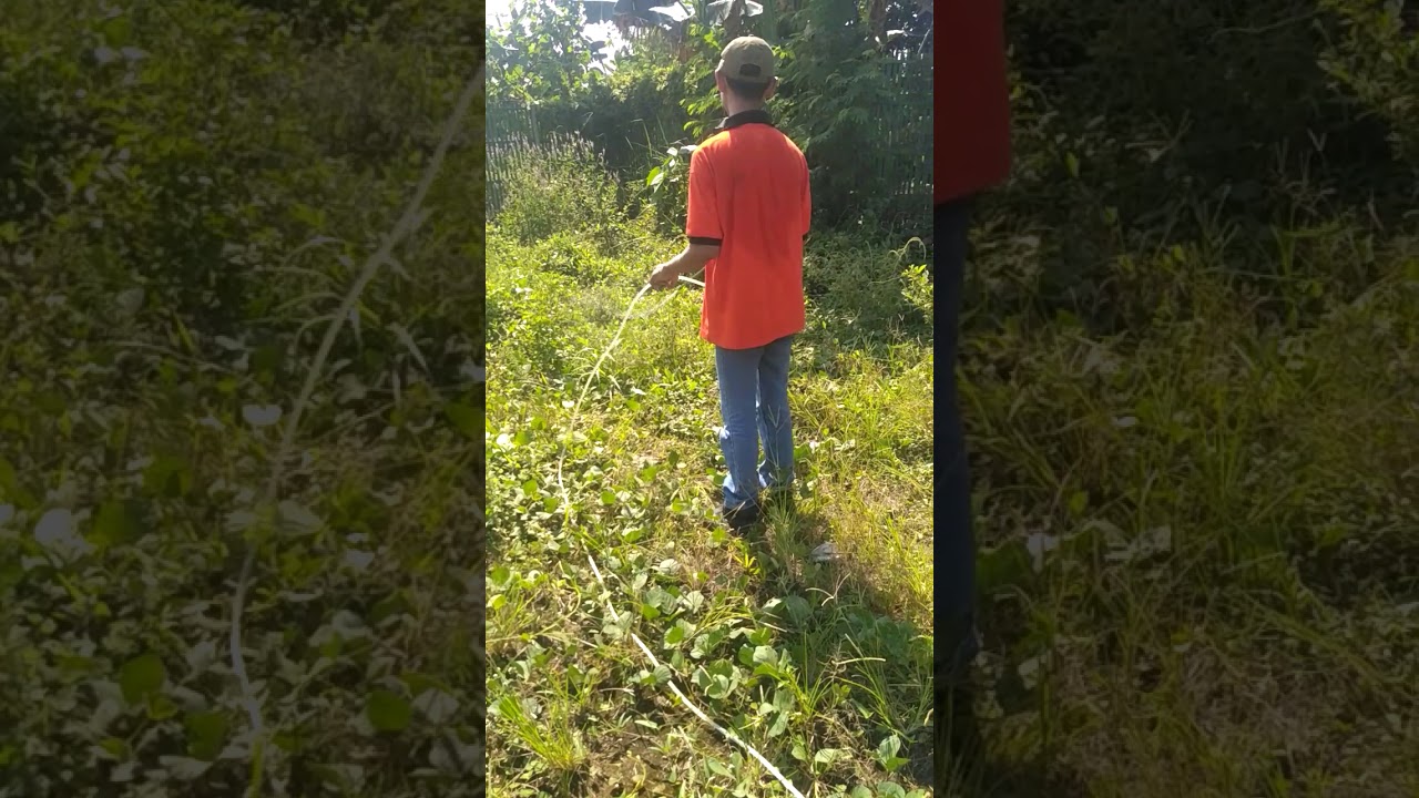 Alat Semprot Rumput sederhana - YouTube