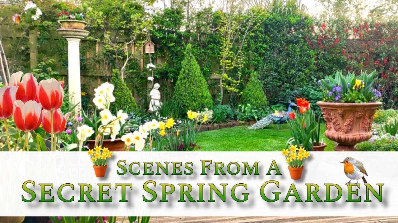 🌷 Scenes from a Secret Spring Garden 🌷Daytime & Nightime - YouTube