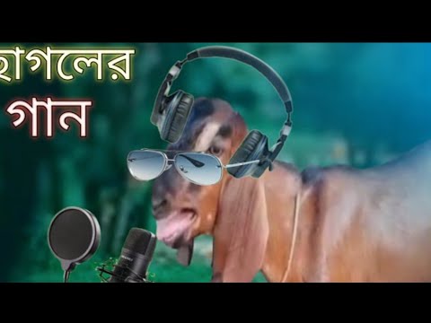 Goat song 😀The singing goat Goat singing rap song goat. singing meme ...