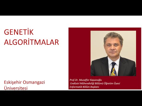 CombinatorialOptimization MutasyonOperatörleri