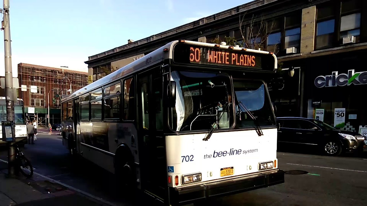 Back-to-back Bee-Line🐝 Orion V on RT.#60 and Loop C - YouTube