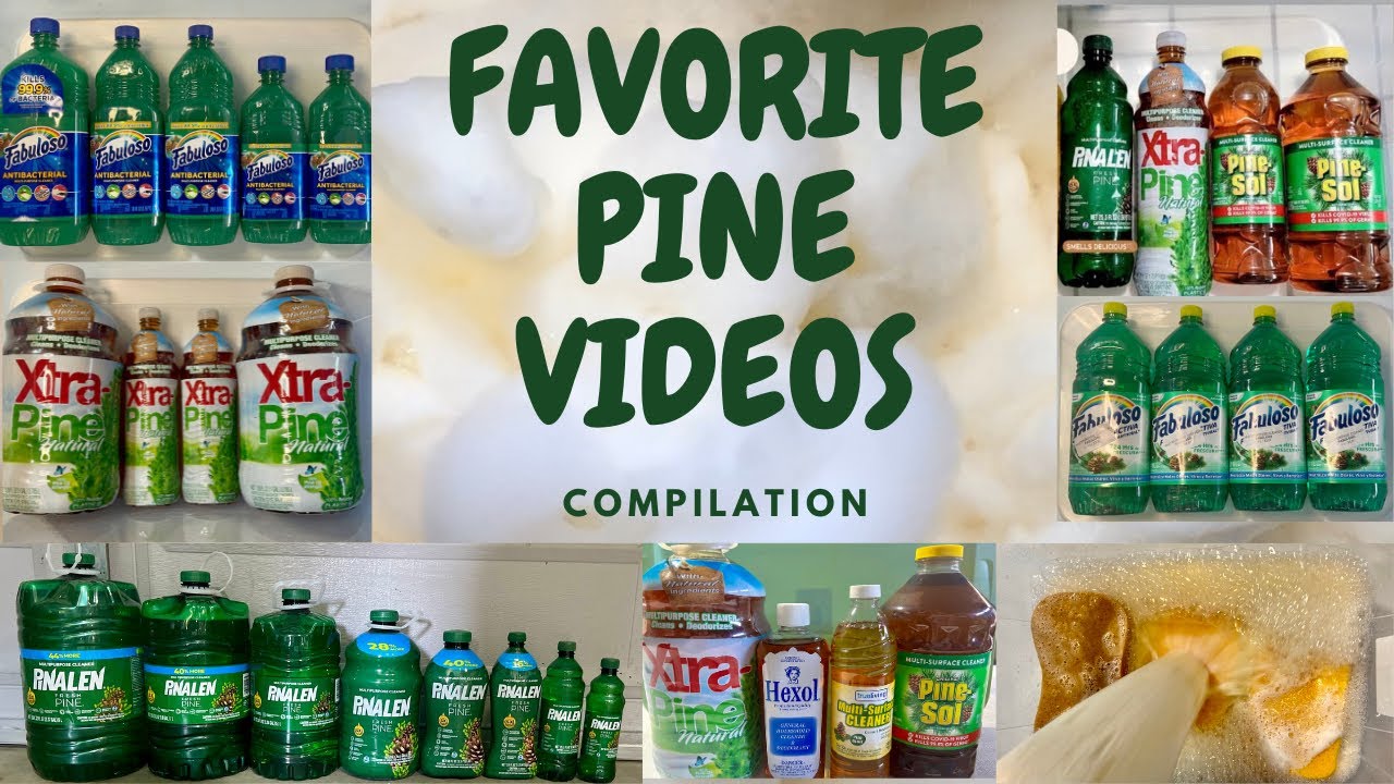 PINE VIDEOS COMPILATION 🌲SPONGE SQUEEZING | PINE SOL PINE PINALEN HEXOL FABULOSO PINE XTRA PINE ...