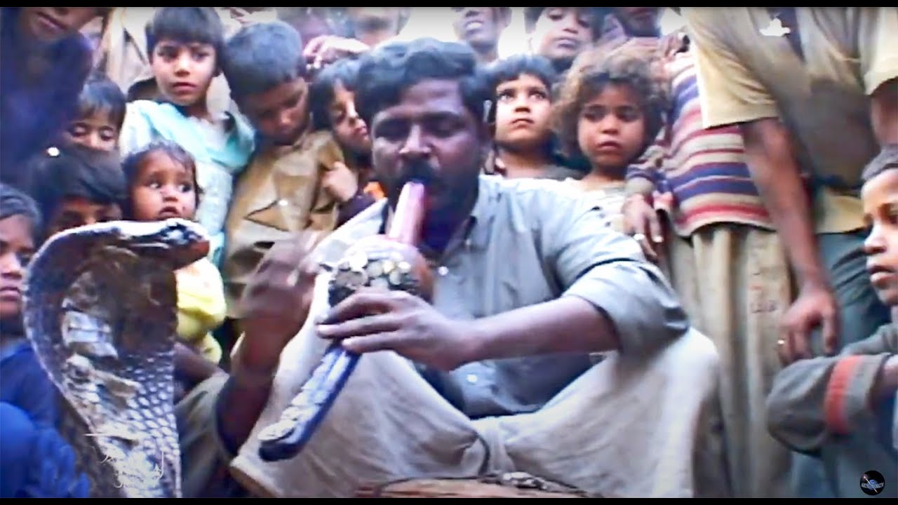 SNAKE CHARMERS STREET PERFORMERS OF INDIA : COBRA FLUTE MUSIC - YouTube